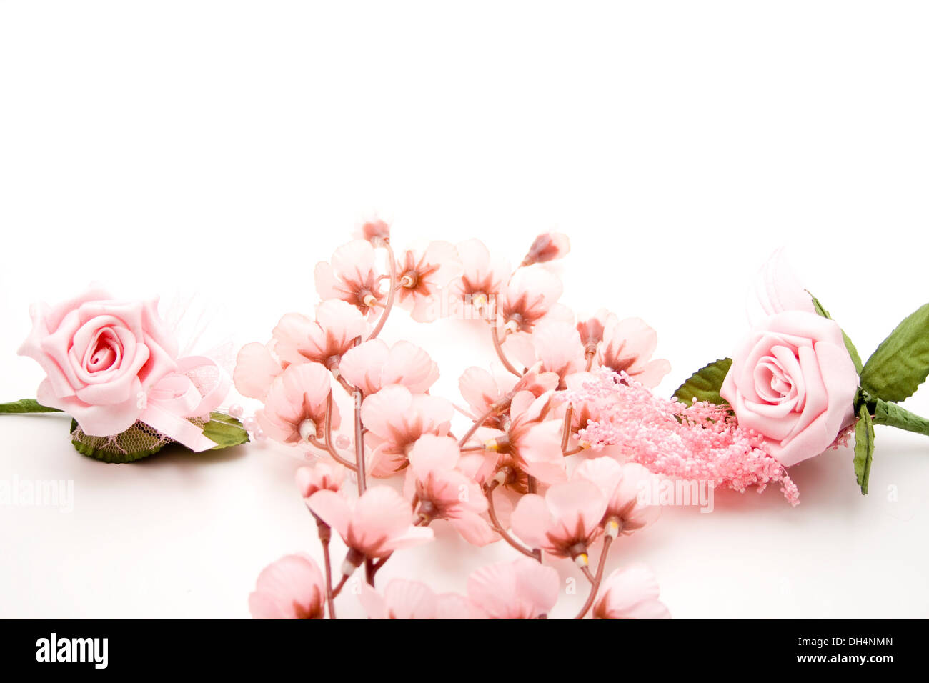 Rose with flowering branch Stock Photo - Alamy