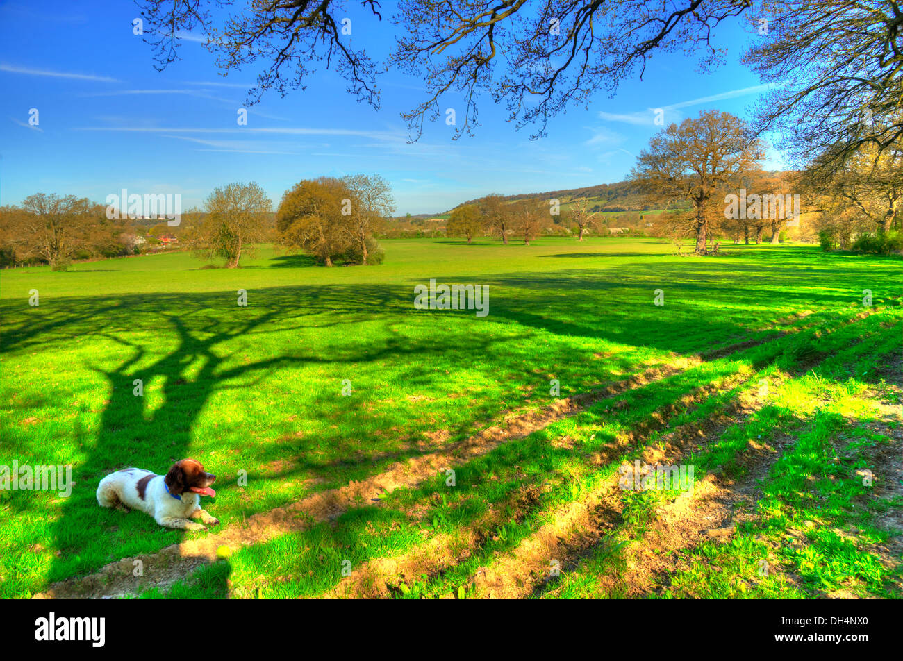 Surrey hills hi-res stock photography and images - Alamy
