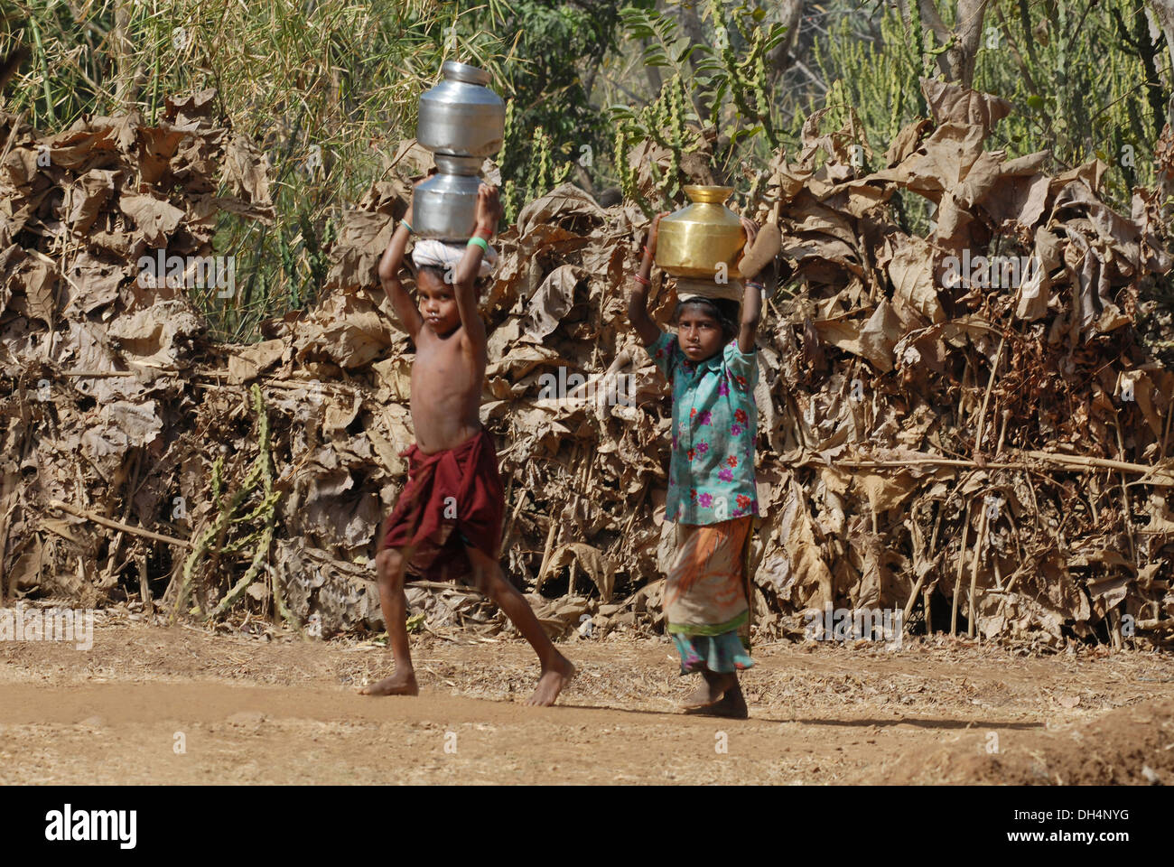 Tribal children carrying water pots on their heads, Bhil Tribe, Madhya ...
