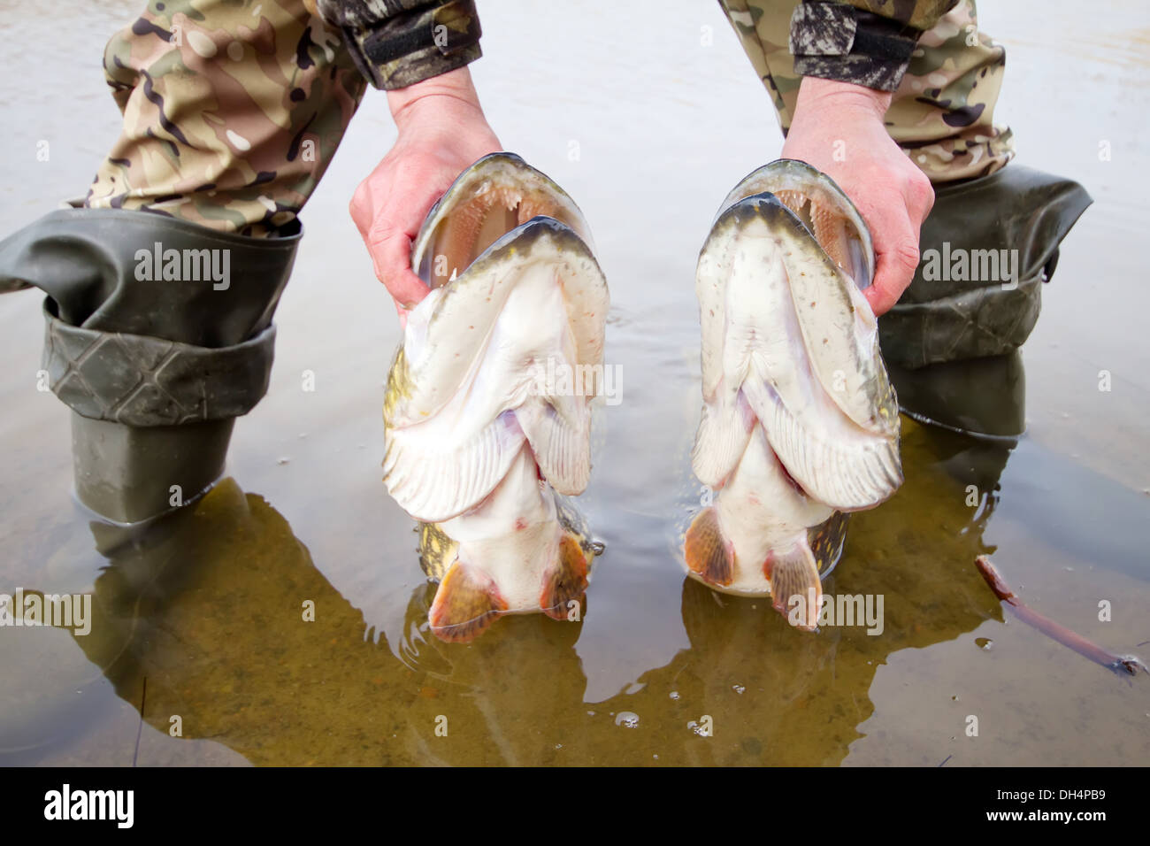 Double pike hi-res stock photography and images - Alamy