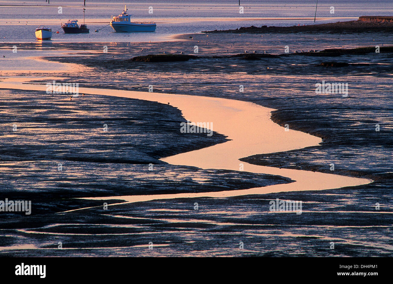 Poole bay hi-res stock photography and images - Alamy