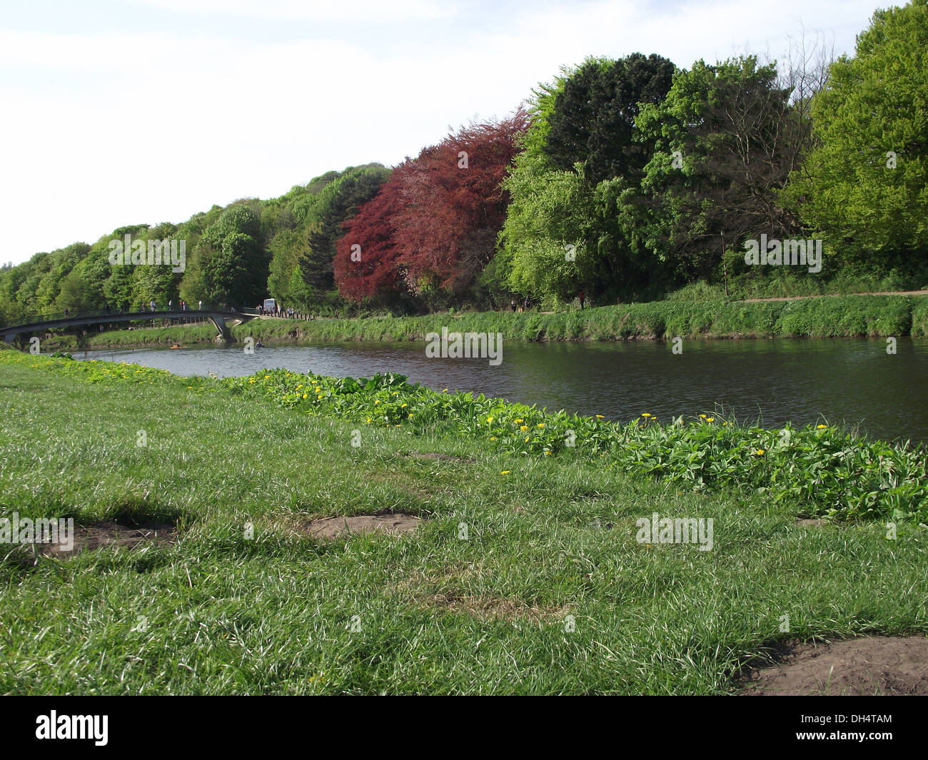 Riverside nature hi-res stock photography and images - Alamy