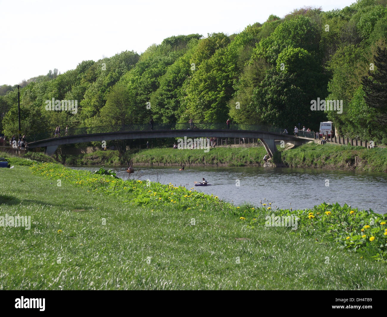 Riverside plants uk hi-res stock photography and images - Alamy
