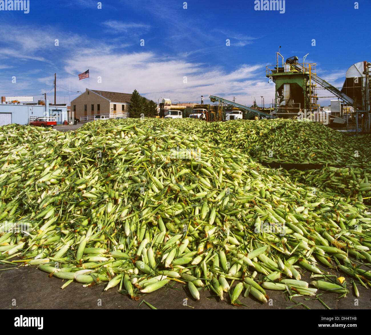 Maize processing plant. Grandview, Washington, USA Stock Photo - Alamy
