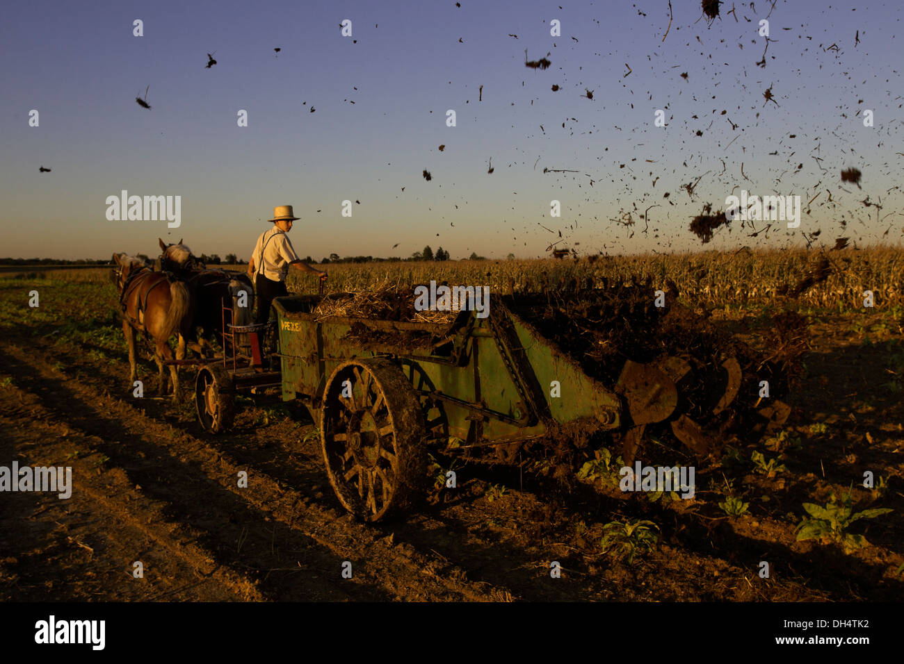 Amish farmers manure hi-res stock photography and images - Alamy