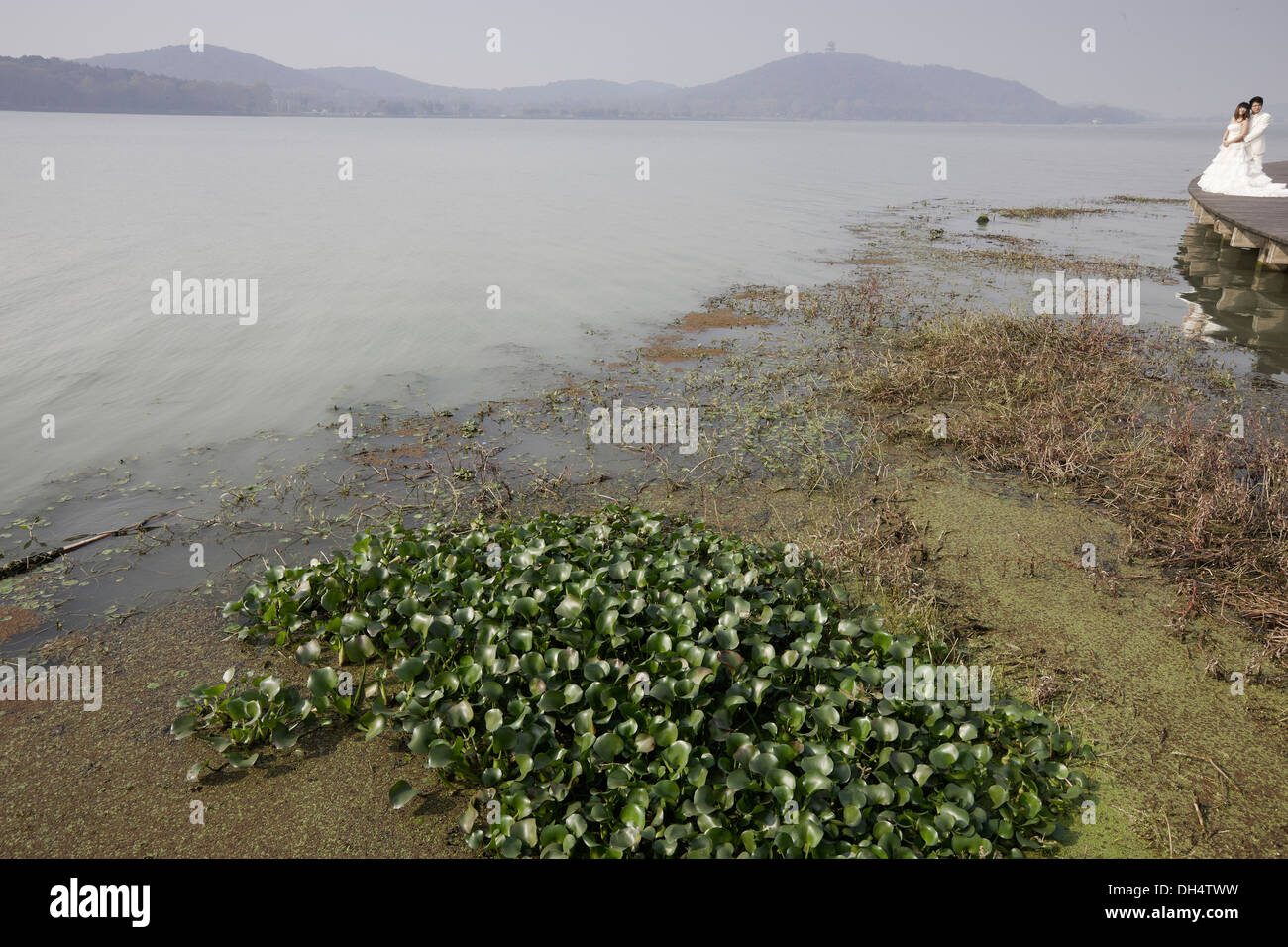 Nitrogen Fertilizer Runoff