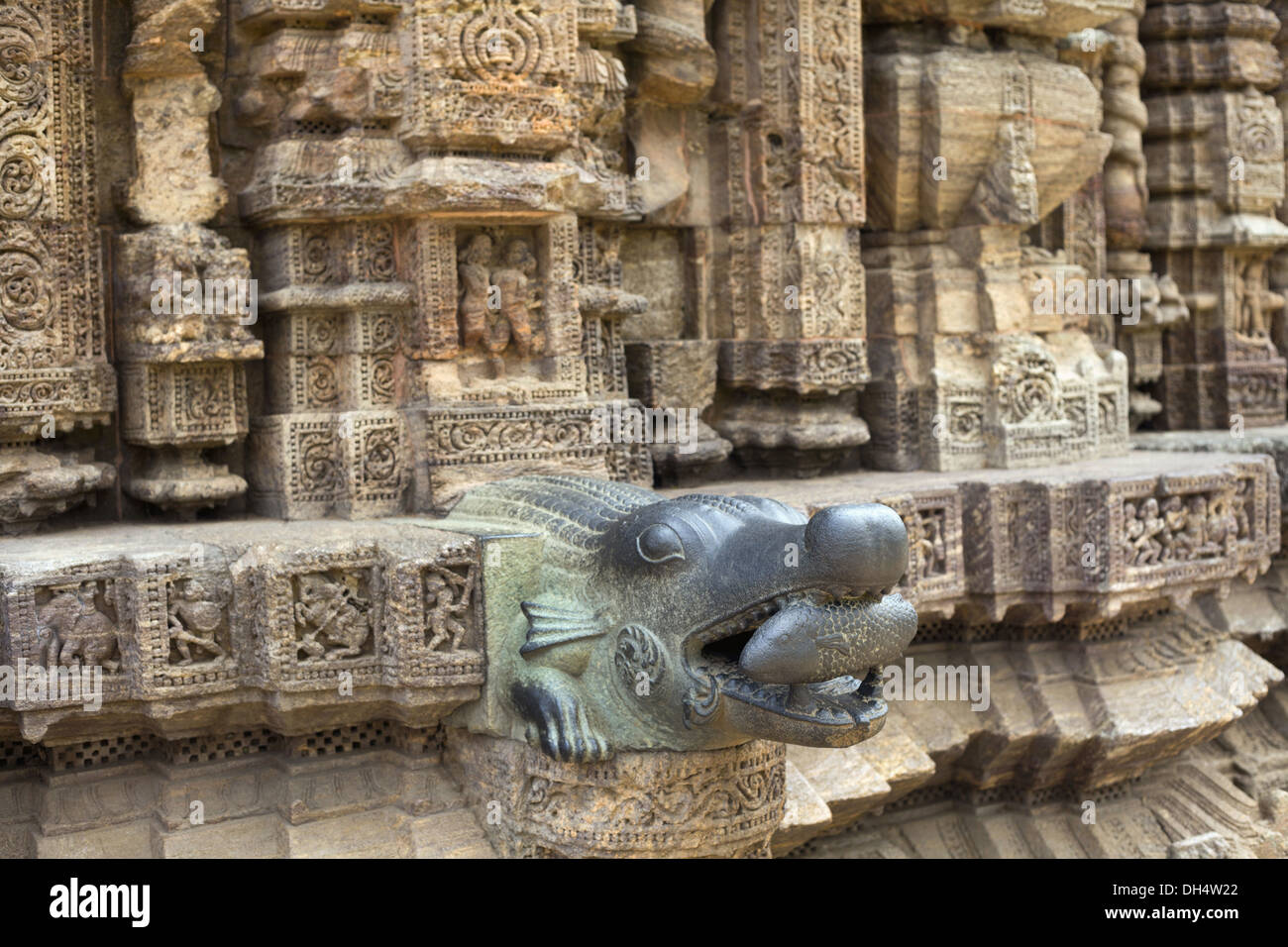 Water Spout. Mahadevi temple, Konarak Sun temple complex, Orissa, India ...