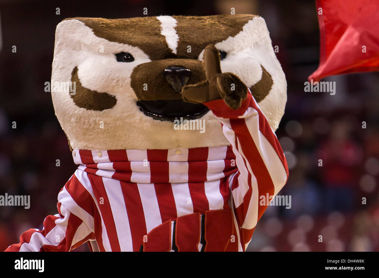 Wisconsin badgers mascot bucky badger hi-res stock photography and ...