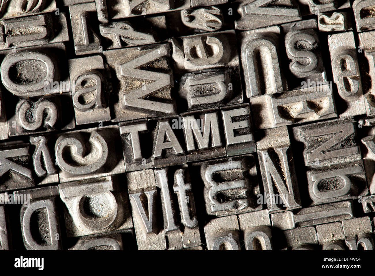 Old lead letters forming the word TAME Stock Photo - Alamy