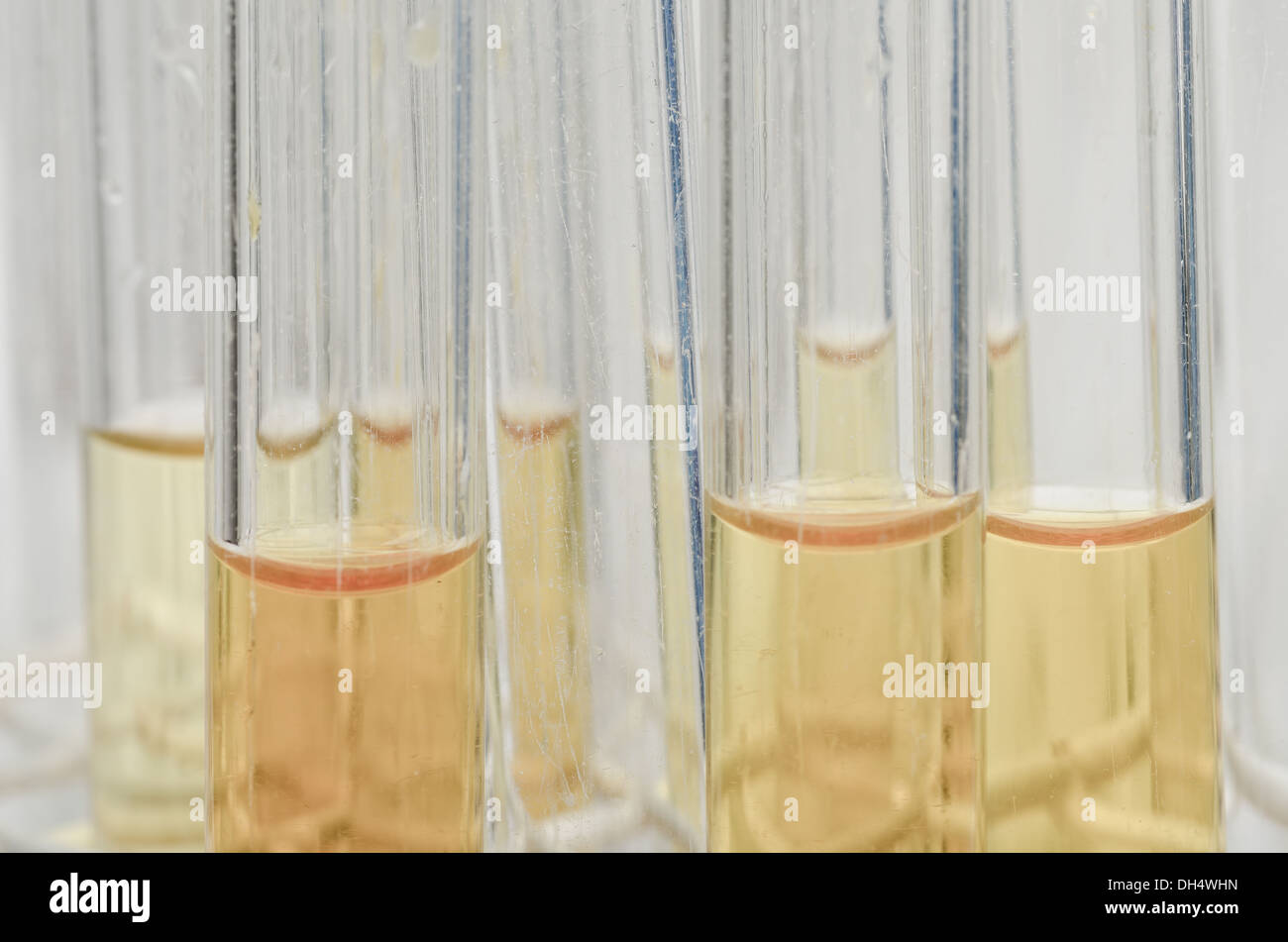 colorful liquids in test tube measuring ph with indicator acid alkali ...