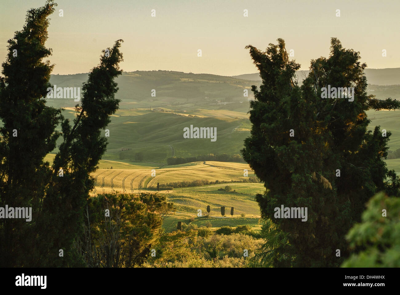 Tuscan view hi-res stock photography and images - Alamy