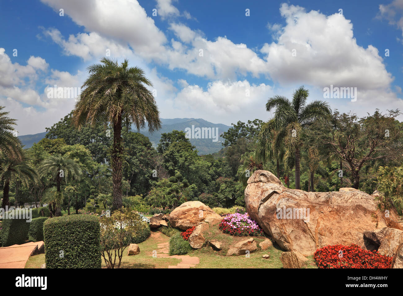 Path trees hi-res stock photography and images - Alamy