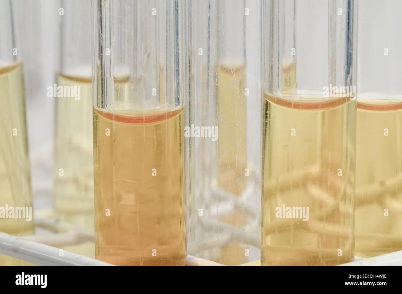 colorful liquids in test tube measuring ph with indicator acid alkali ...