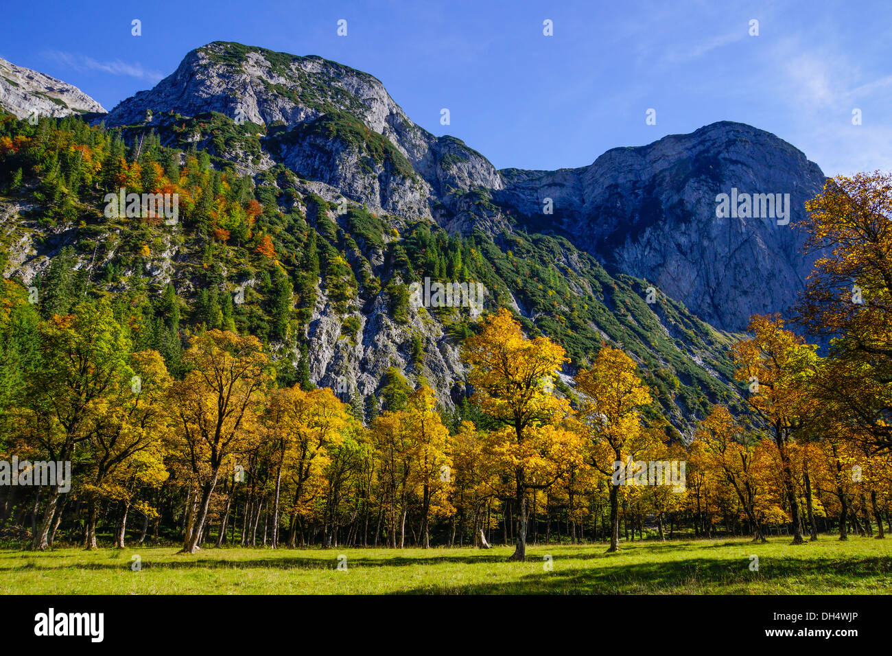Grosser Ahornboden Karwendel Mountains Tirol Austria Europe Stock Grosser Ahornboden Karwendel Mountains Tirol Austria Europe Stock
