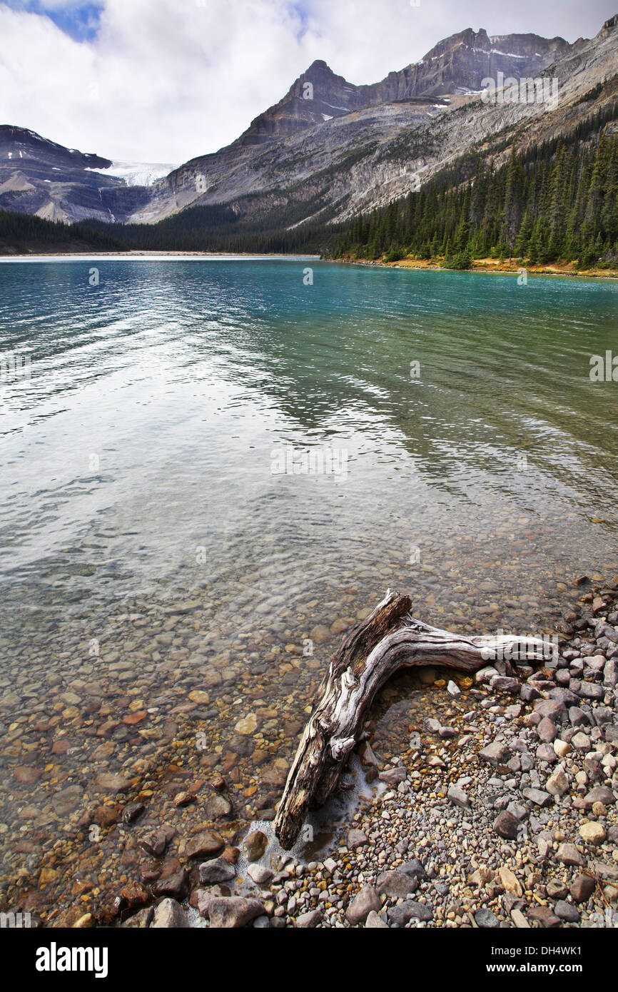 Snag hi-res stock photography and images - Alamy