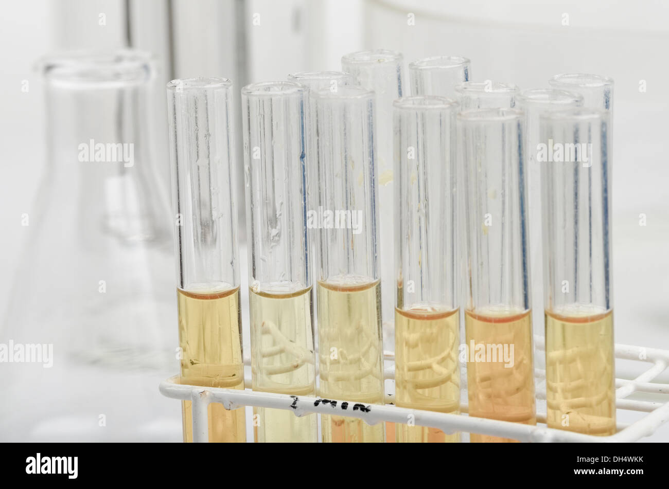 colorful liquids in test tube measuring ph with indicator acid alkali ...