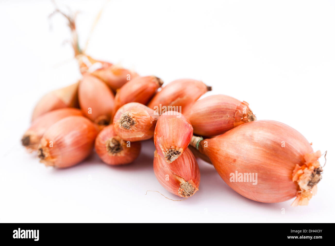 Plain background hi-res stock photography and images - Alamy