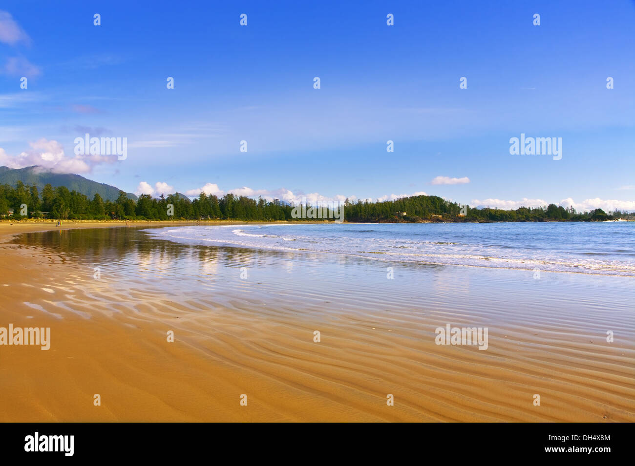 Ocean beach during outflow Stock Photo - Alamy Ocean beach during outflow Stock Photo - Alamy