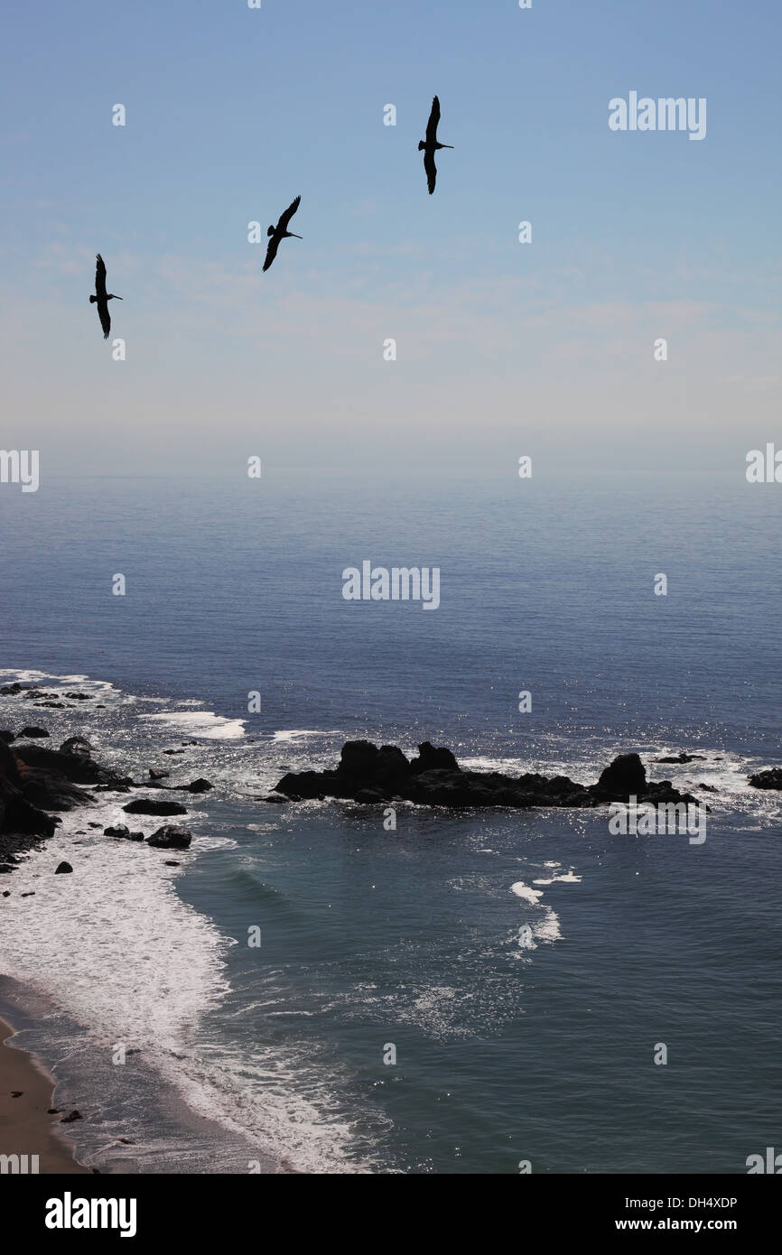 Three grey hi-res stock photography and images - Alamy