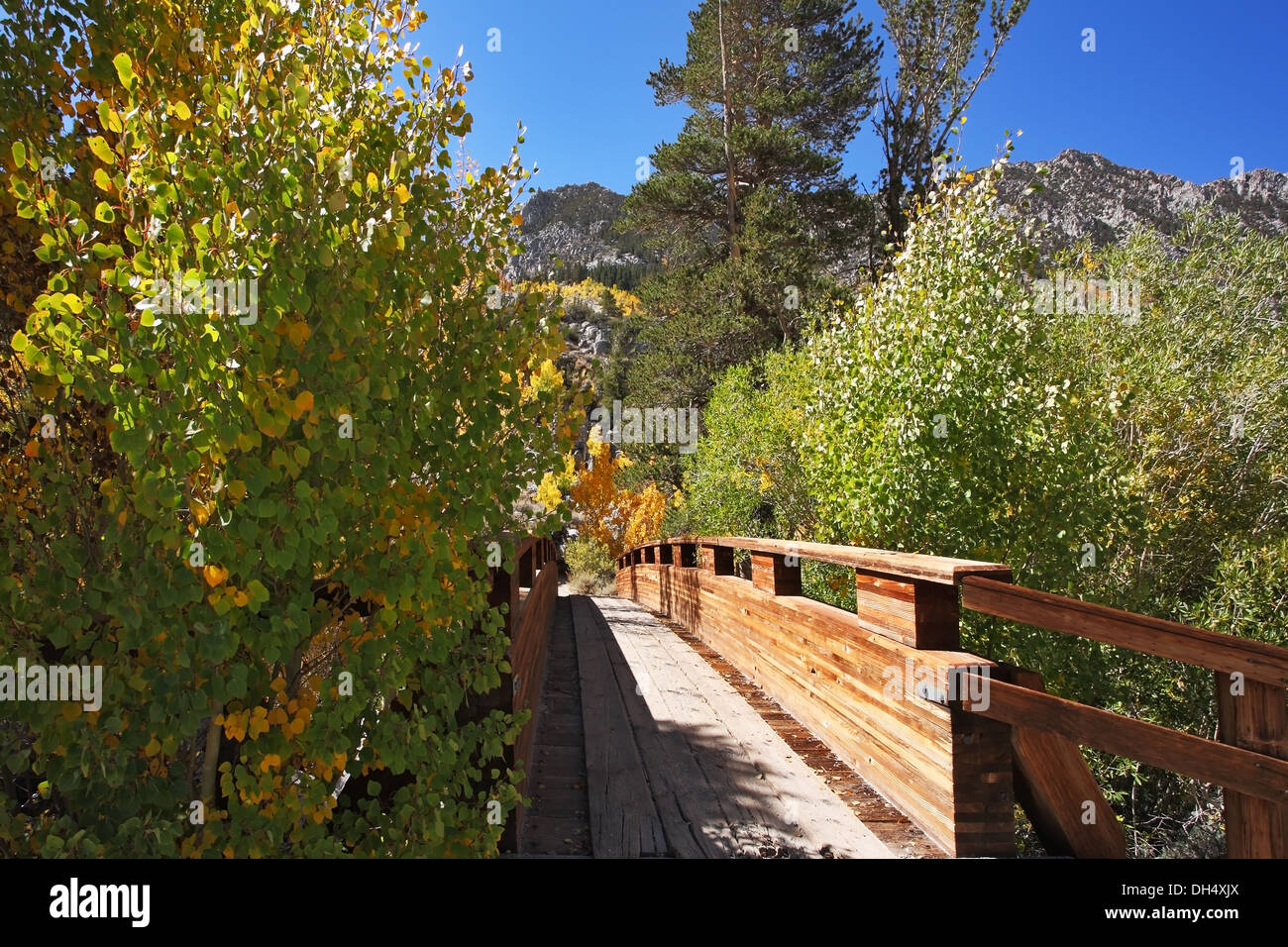 A charming wooden bridge over a stream Stock Photo - Alamy