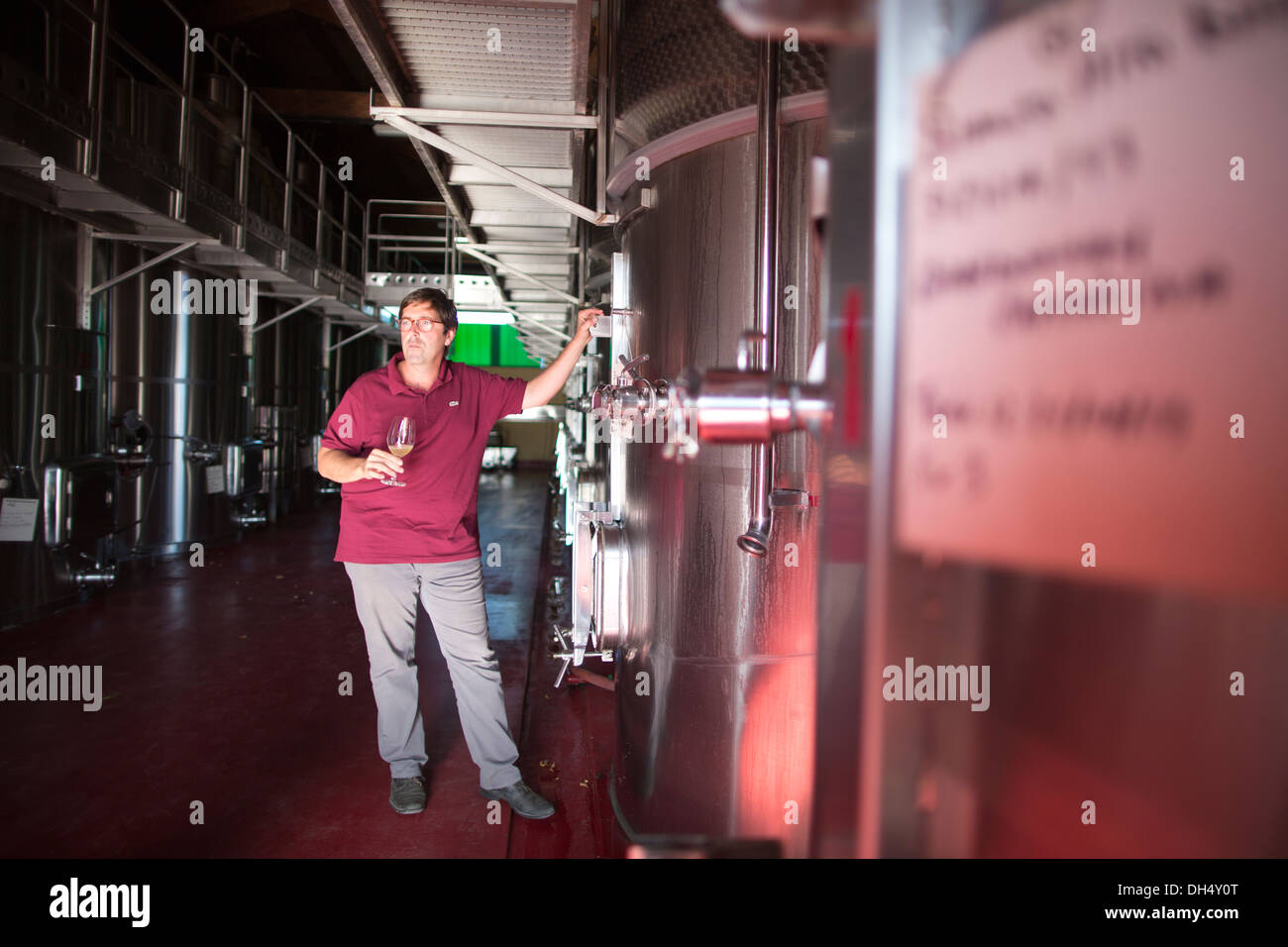 Alessio Planeta photographed in the wine distillery, Planeta winery ...