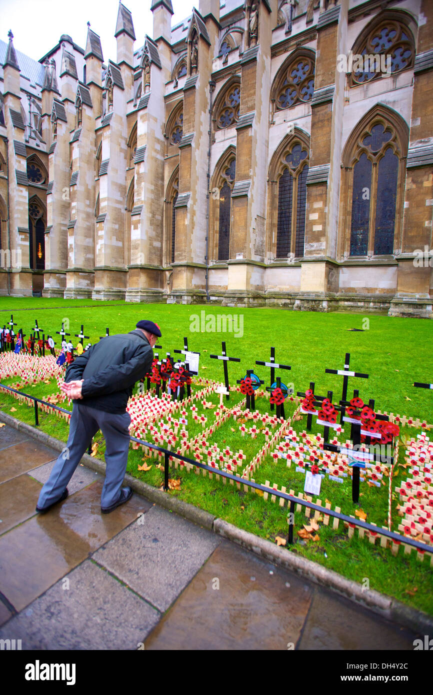 Remembrance Day, Westminster Abbey, London, England Stock Photo - Alamy
