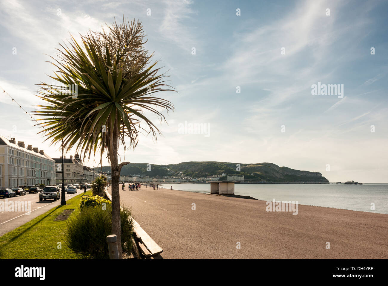 llandudno Promenade-Pier and Palms Stock Photo - Alamy