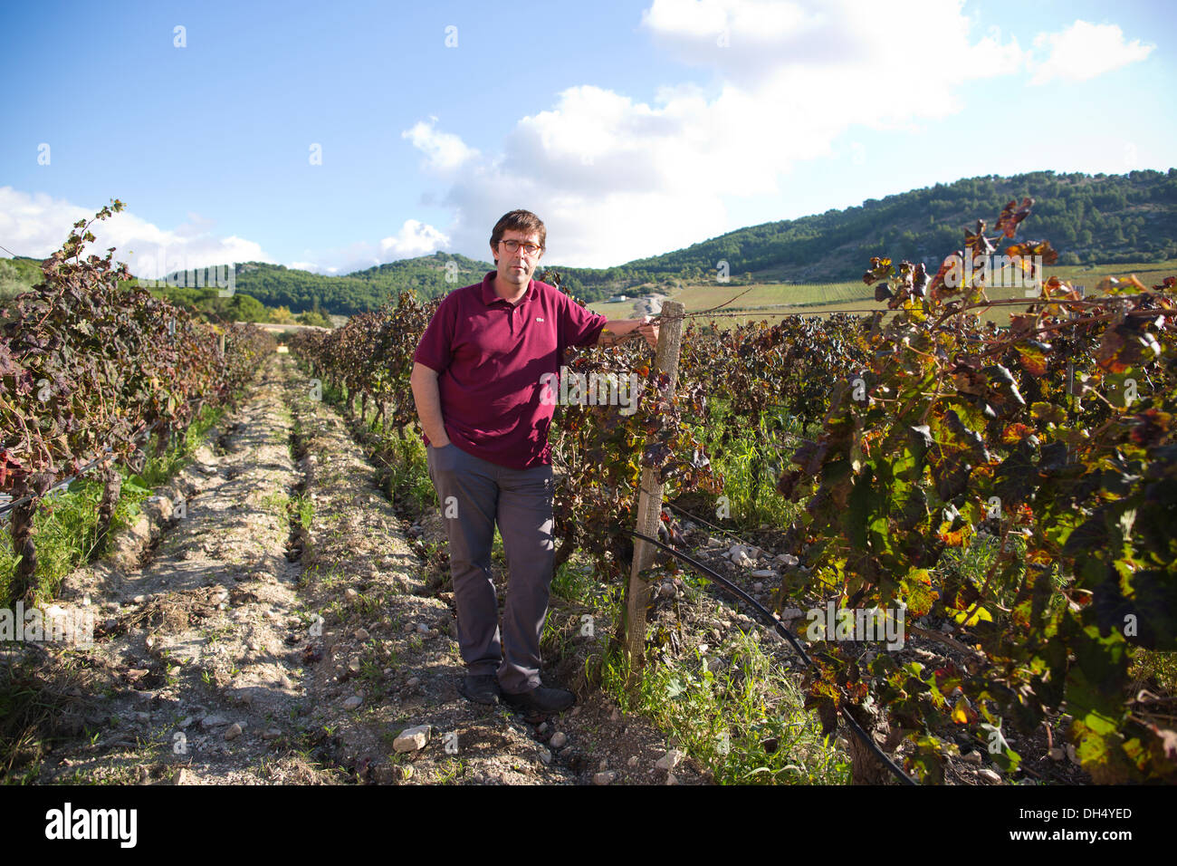Alessio Planeta photographed at one of his vineyards, Planeta winery ...