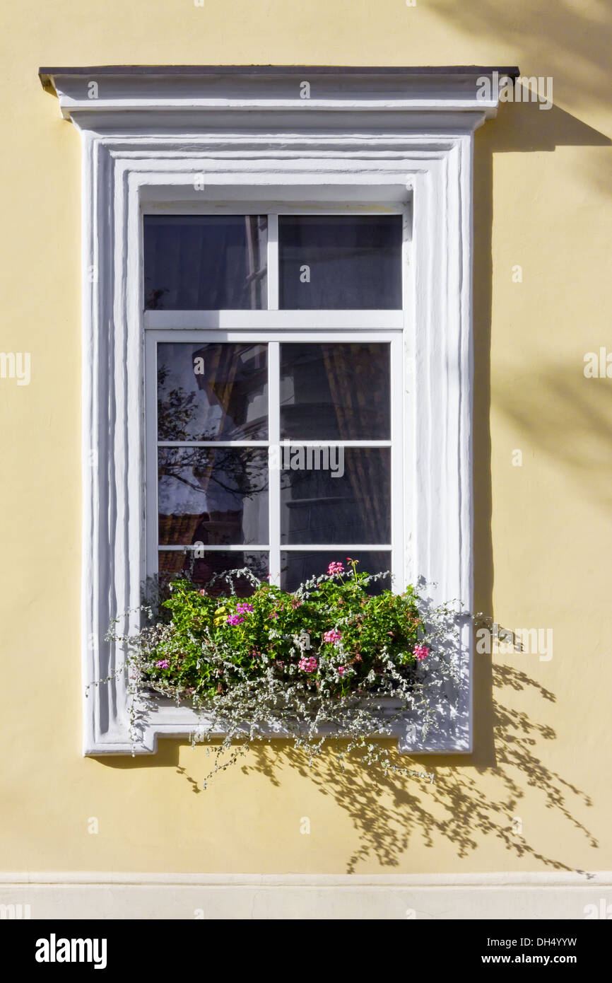 Stand domestic hi-res stock photography and images - Alamy