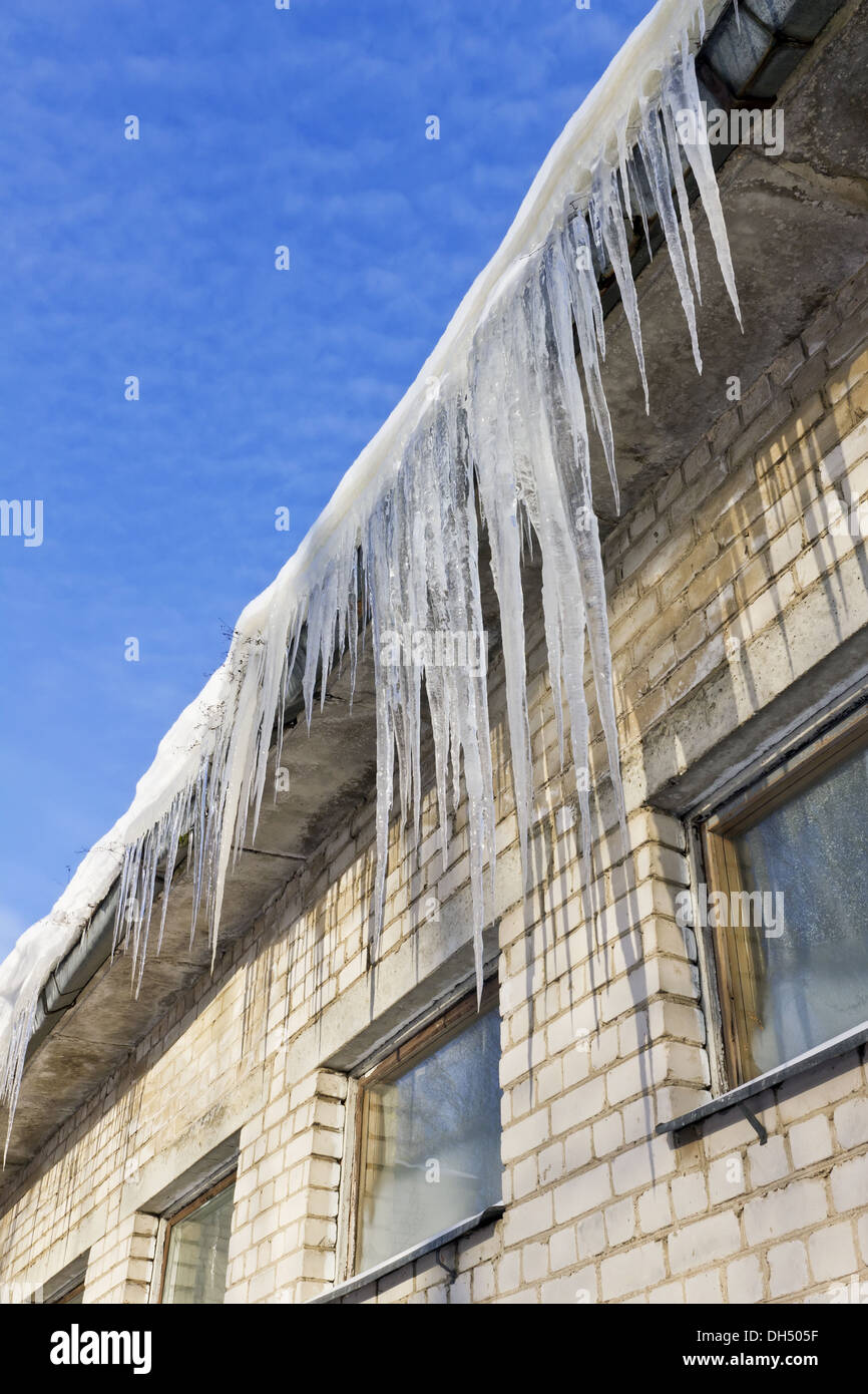 Concept in nature hi-res stock photography and images - Alamy