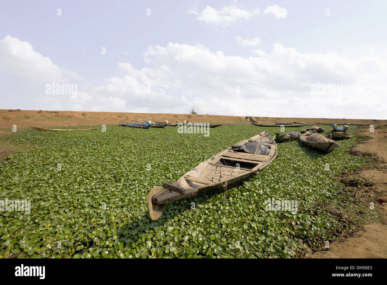 A fishing boat in chilika lake, Orissa, India Stock Photo - Alamy