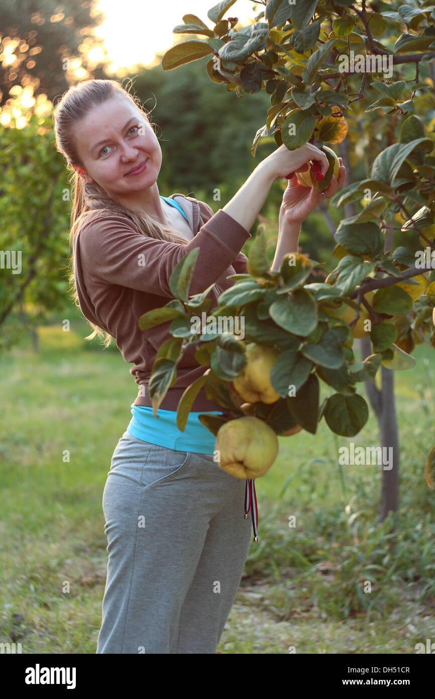 Time to picking hi-res stock photography and images - Alamy