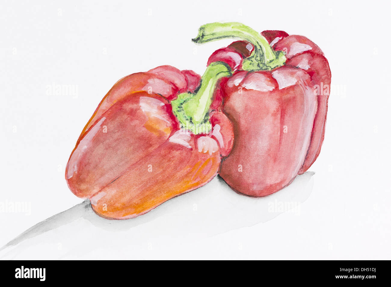 Sweet green pepper watercolor Cut Out Stock Images & Pictures - Alamy