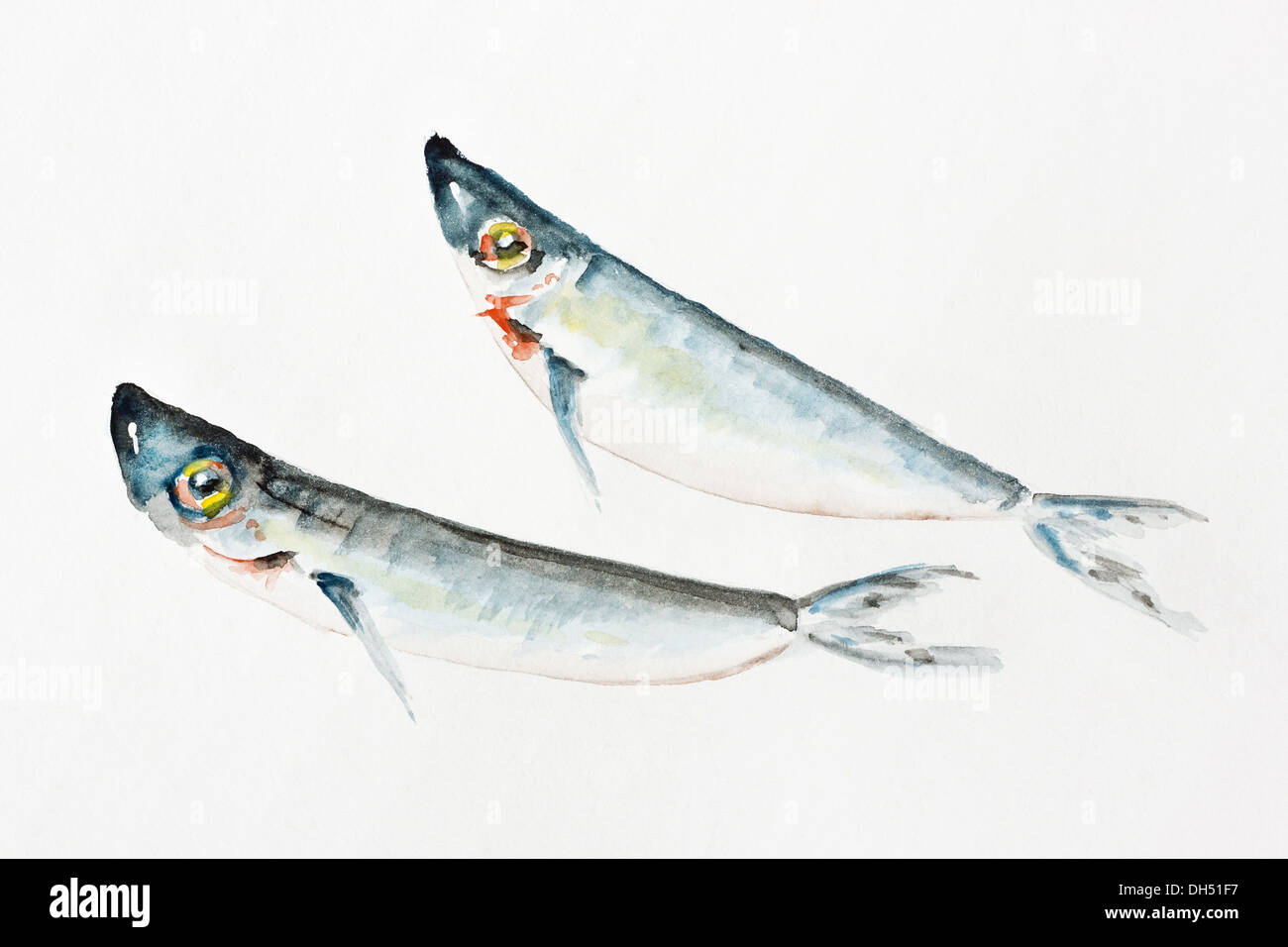 Dead fish underwater hi-res stock photography and images - Alamy