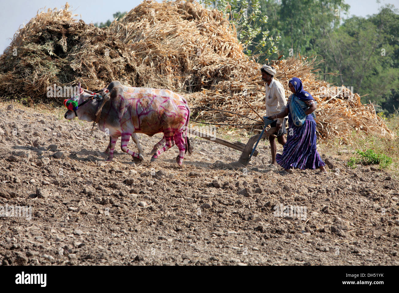 Bheel hi-res stock photography and images - Alamy