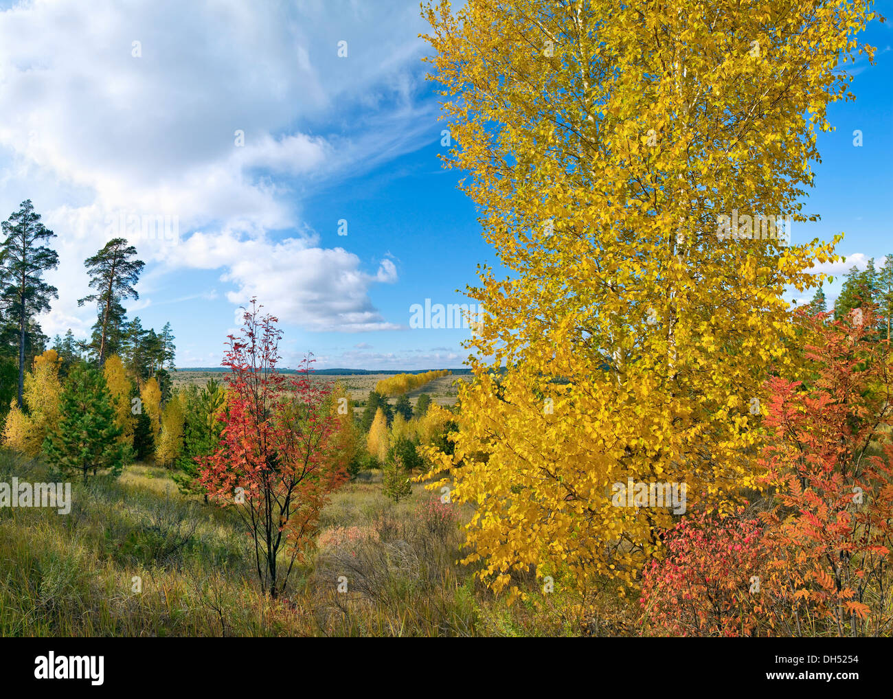 Russian autumn landscape Stock Photo - Alamy