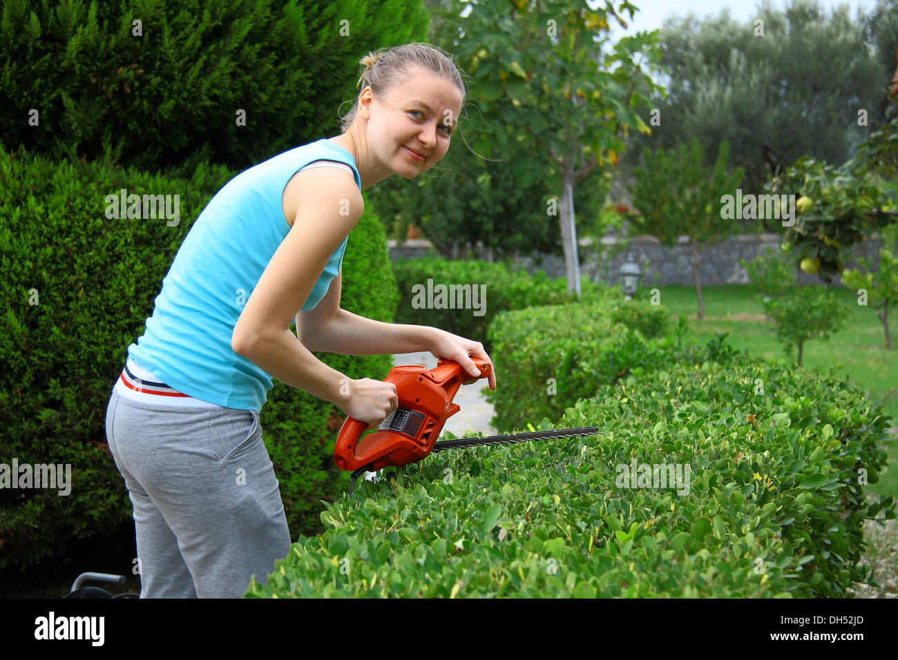 worker pruning shrub in garden with electrical pruning tool Stock Photo ...
