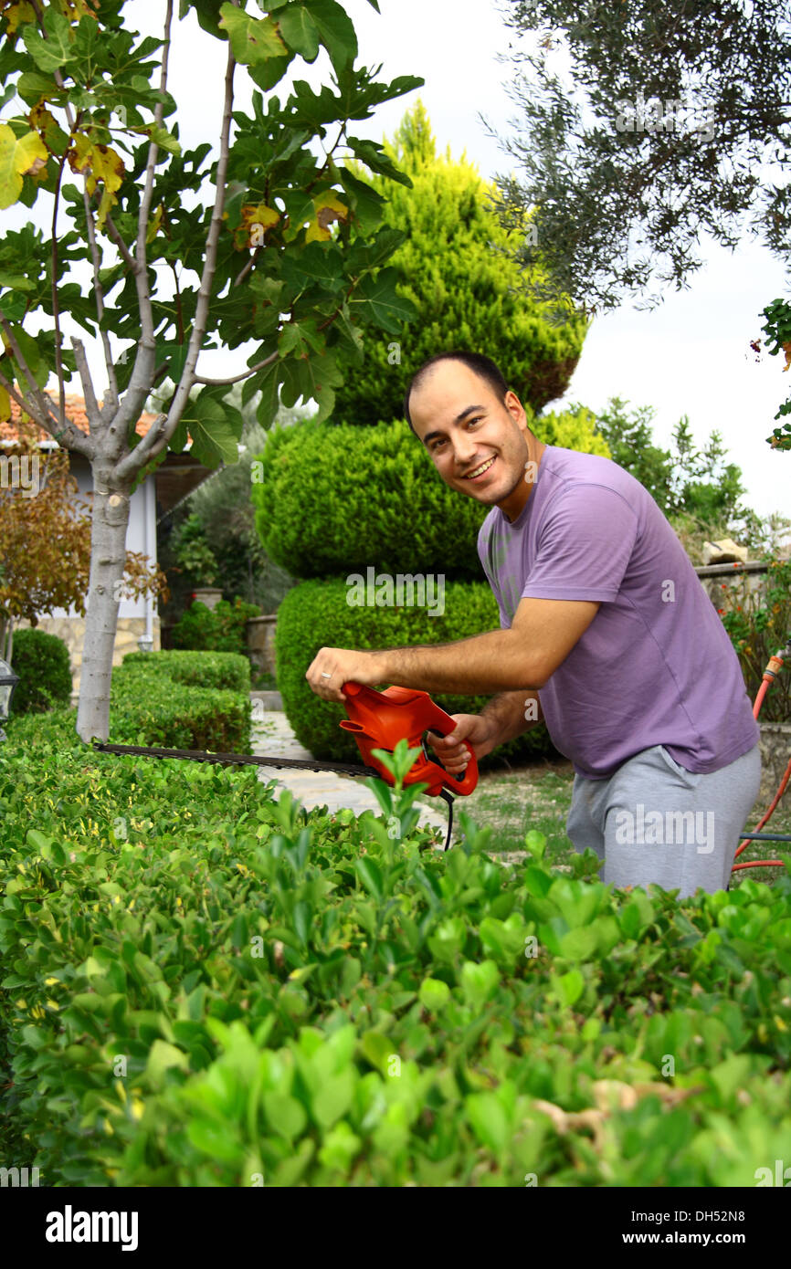 man pruning shrub in garden with electrical pruning tool Stock Photo ...