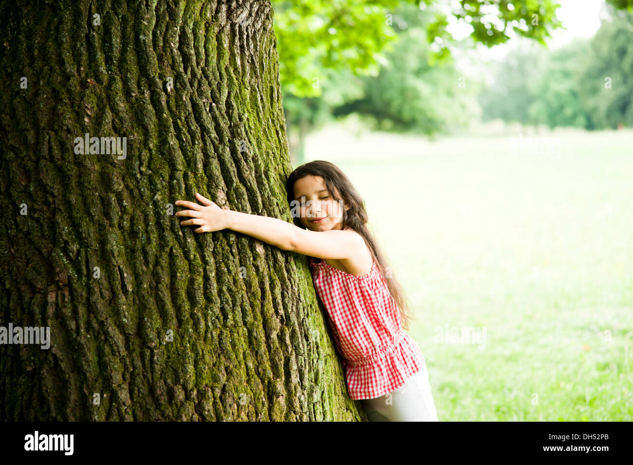 Smiling girl hugging a tree Stock Photo - Alamy