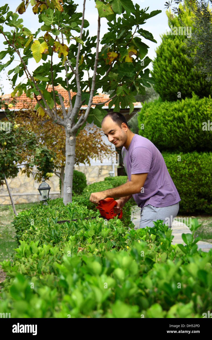 man pruning shrub in garden with electrical pruning tool Stock Photo ...