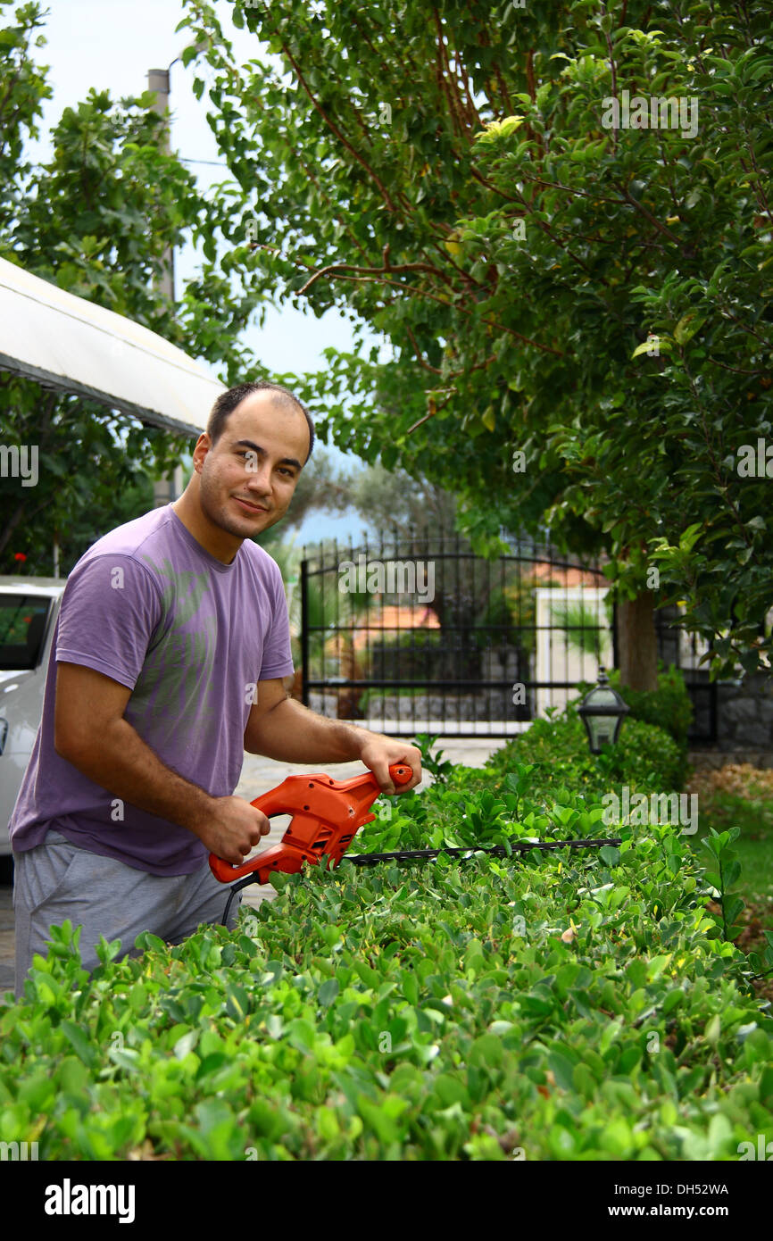 man pruning shrub in garden with electrical pruning tool Stock Photo ...