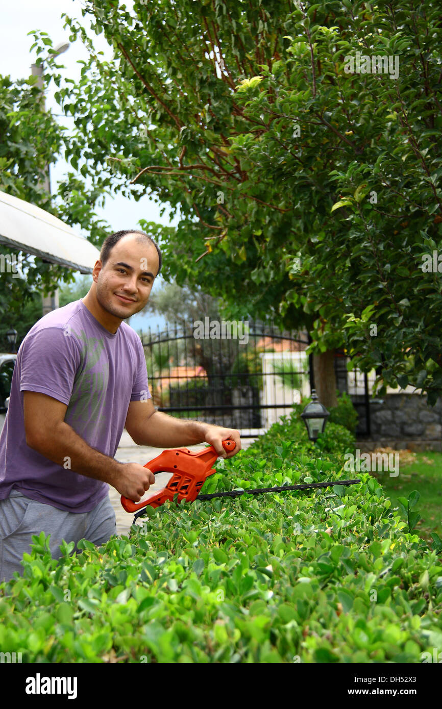 man pruning shrub in garden with electrical pruning tool Stock Photo ...