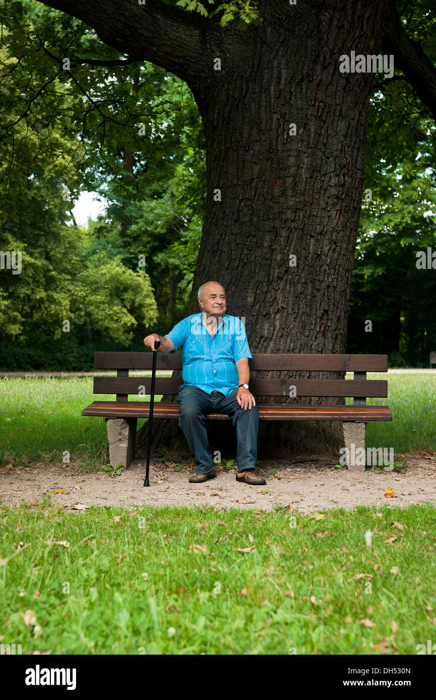 Elderly man with a walking cane sitting on a bench under a tree Stock ...