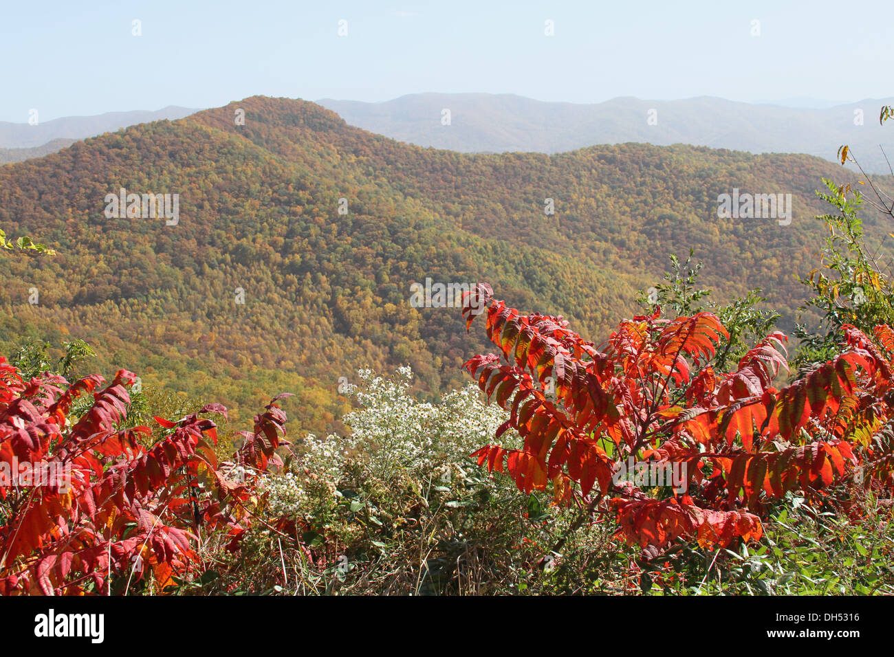 Colorful tree covered appalachian mountains hi-res stock photography ...