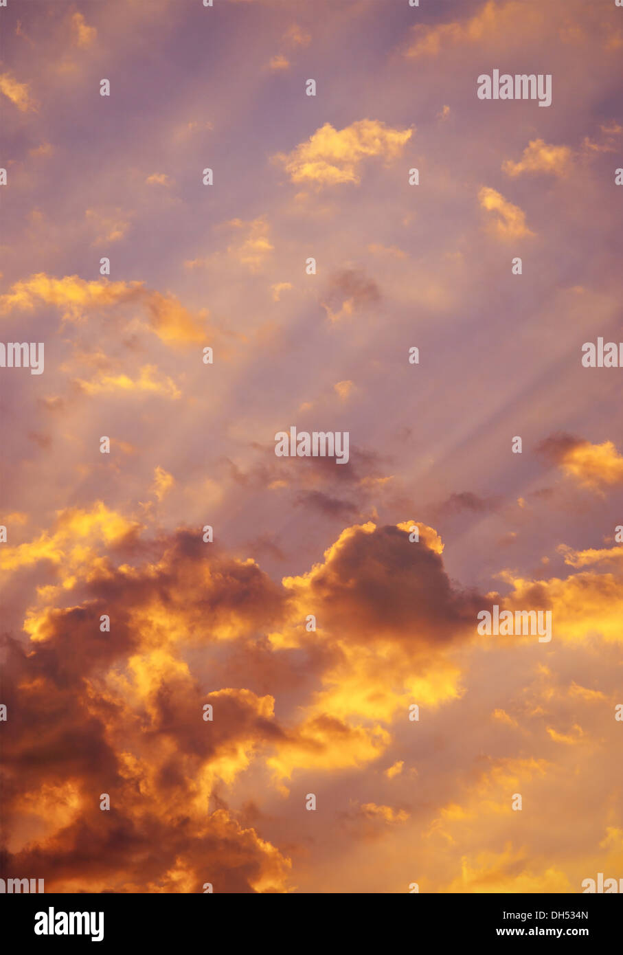 Hue of sky at dawn hi-res stock photography and images - Alamy