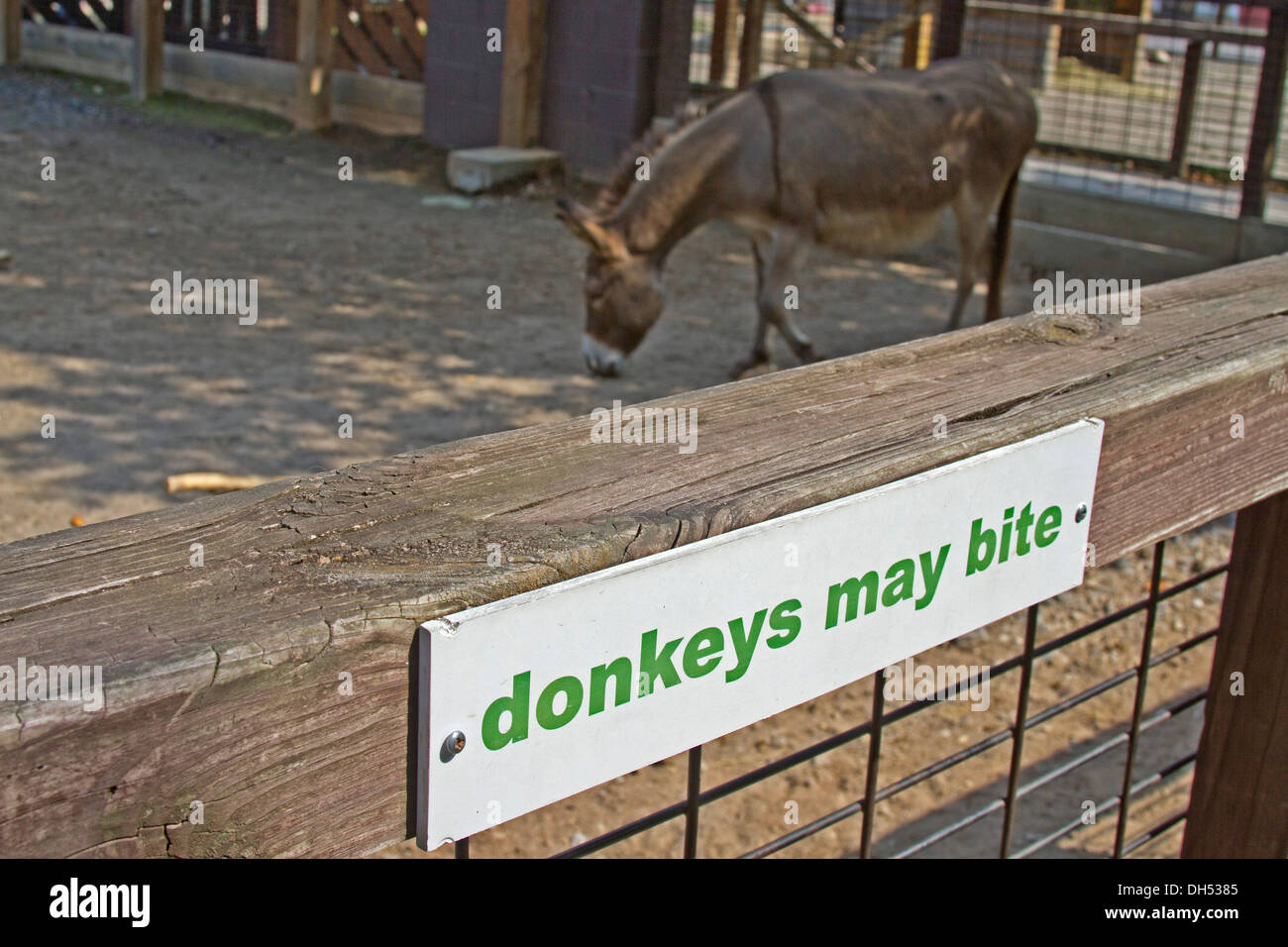 Donkey Warning Sign High Resolution Stock Photography and Images - Alamy