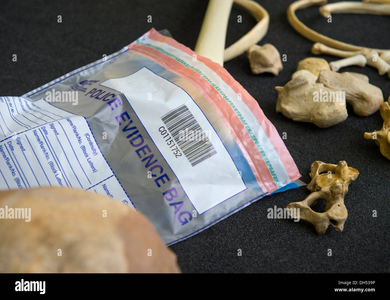Human and animal remains laboratory exhibits with a Police Evidence Bag ...