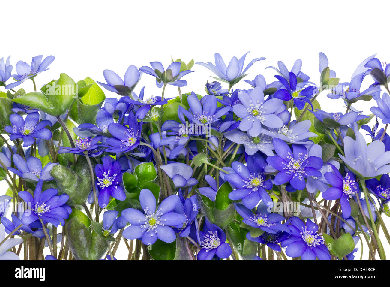 Blue time concept Stock Photo - Alamy