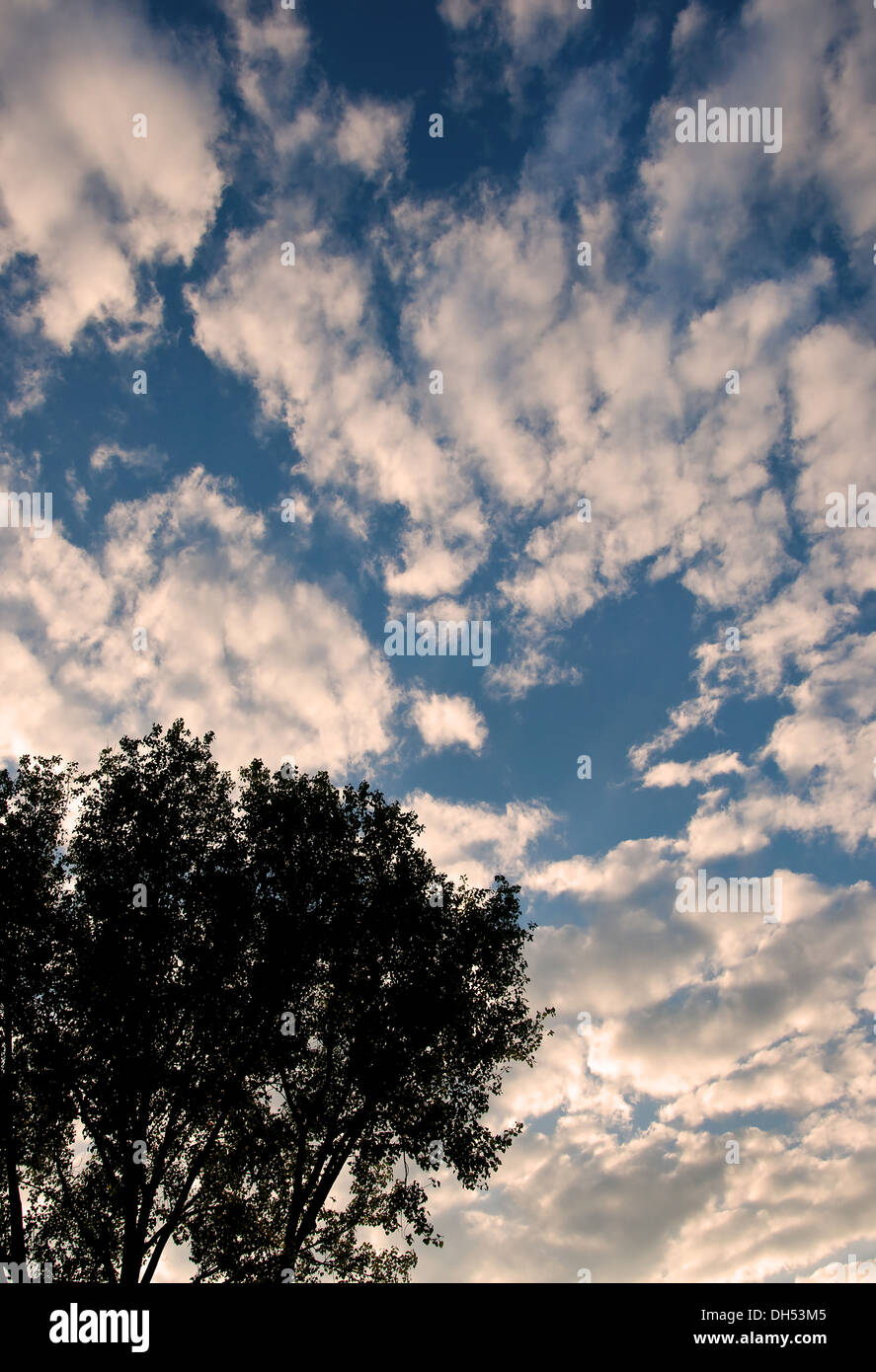 Cloudscape with puffy and whispy cloud patterns Stock Photo - Alamy