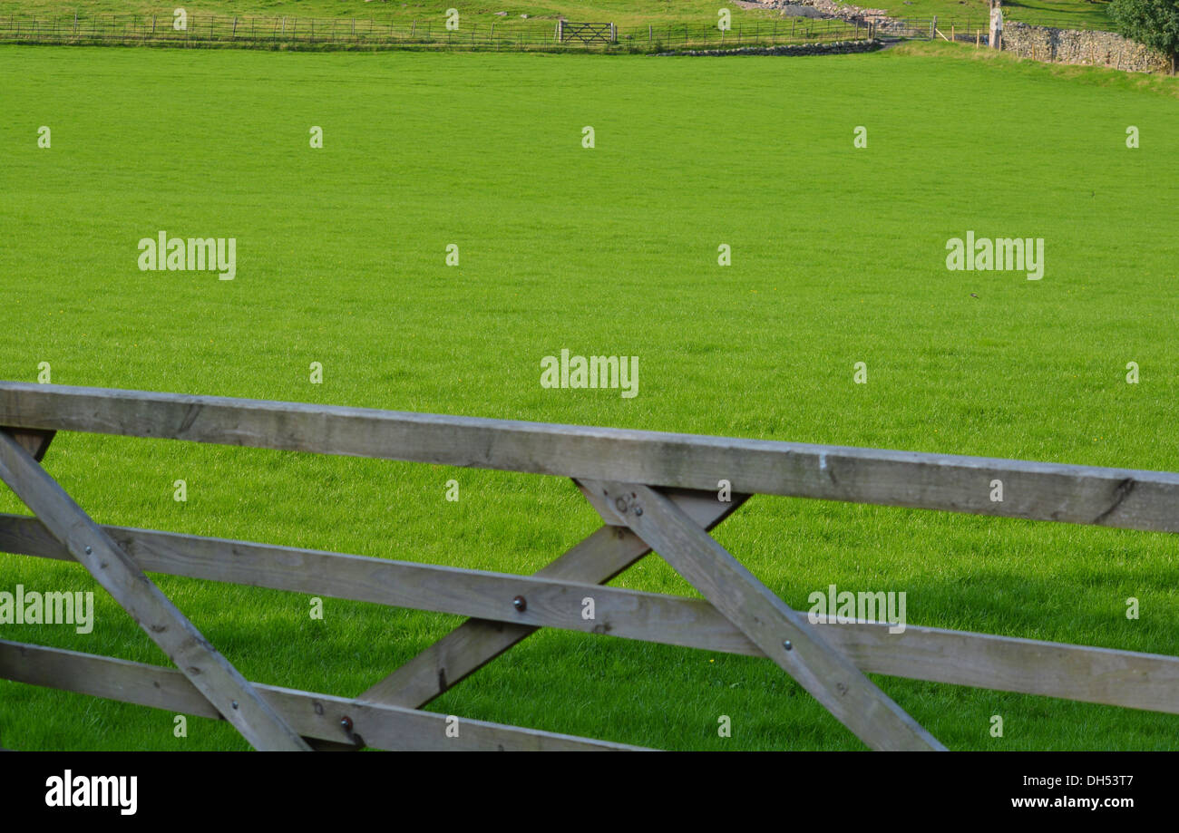 English field in Summer, Lake District Stock Photo - Alamy